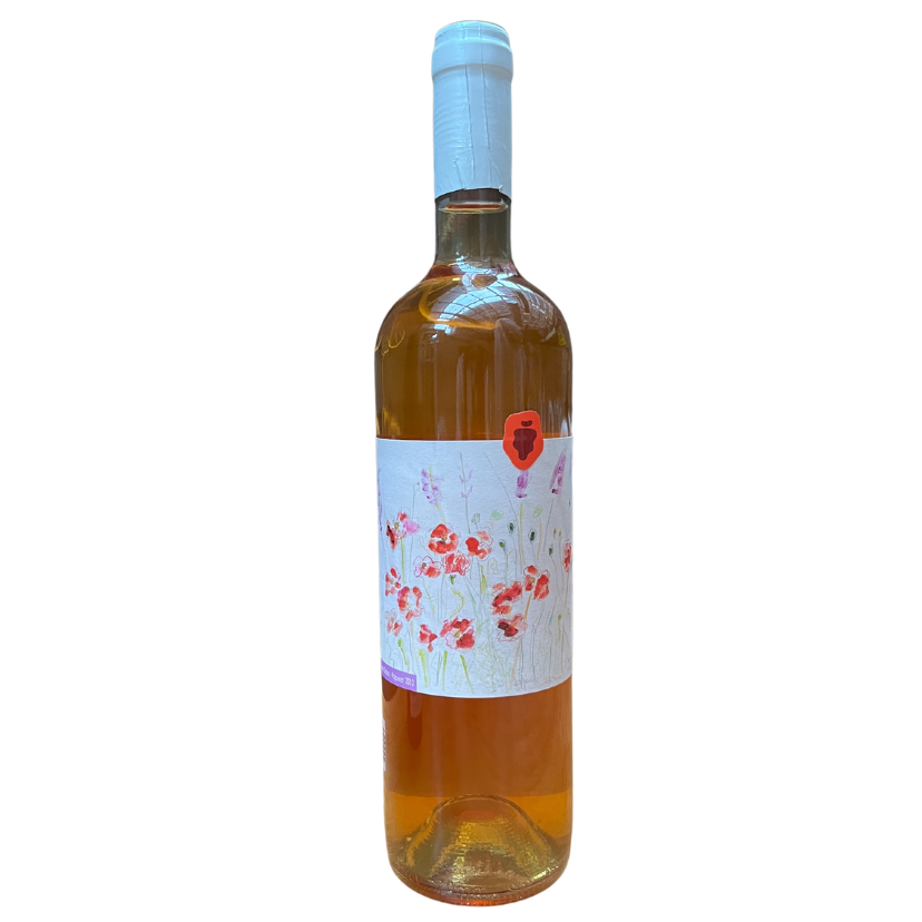 Ansonica 2022 – Primavin