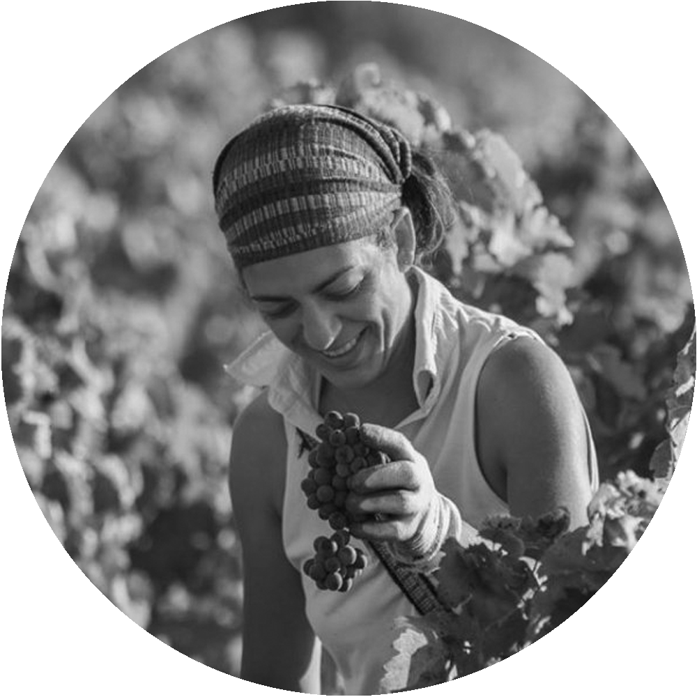 Dei Agre – Primavin